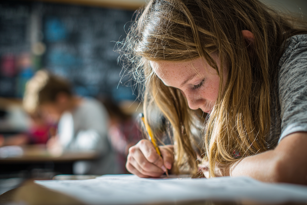 Unit Plan 20 (Grade 7 Social Studies): The Printing Press and ...