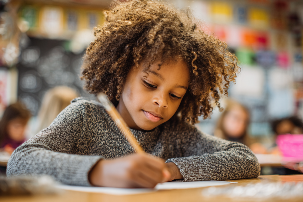 Unit Plan 13 (Grade 2 Science): Pollination Models