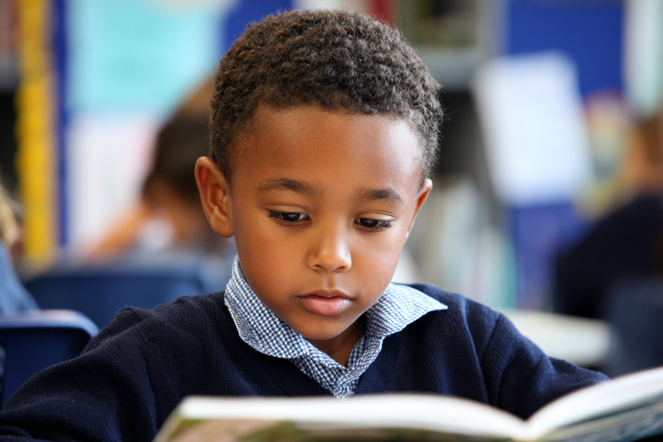 Unit Plan 28 (Grade 1 ELA): Cause & Effect and Idea Connections