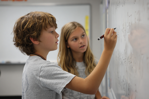 Bridging the Gap: Strategies That Close the Vocabulary Divide in Math ...